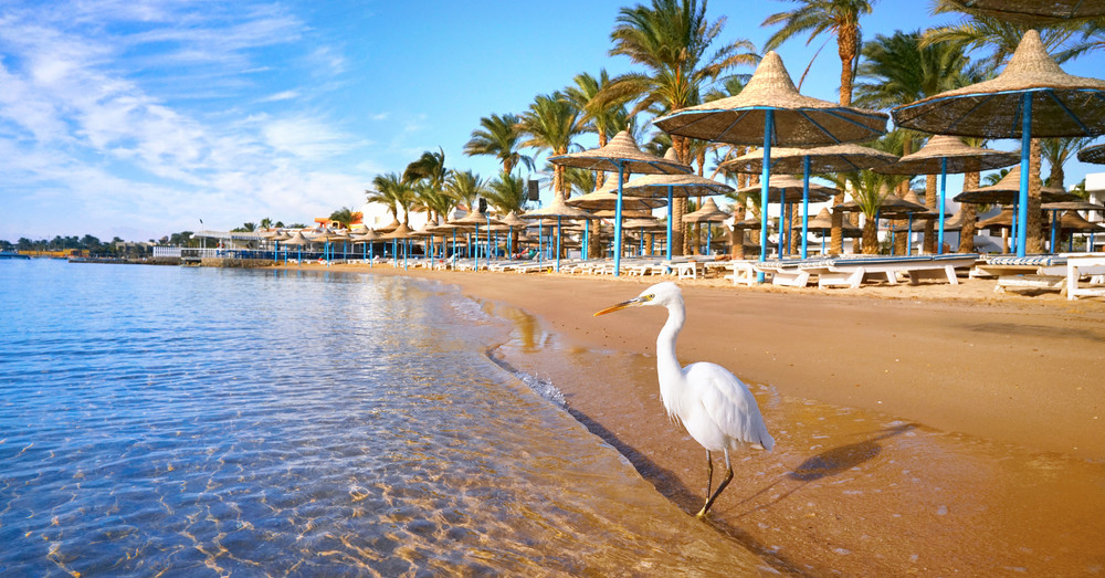 Kelionė į Egiptą su "viskas įskaičiuota"! - Tedo.lt