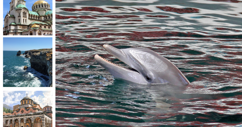 Ekskursija į Varnos delfinariumą - Tedo.lt